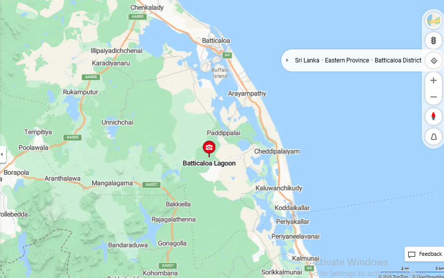 The lonely philosopher in Batticaloa Lagoon – Silent observer